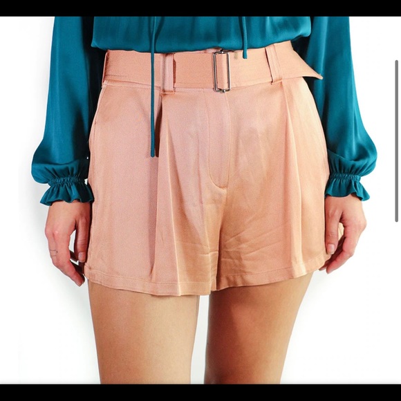 A.L.C. | Shorts | Alc Delilah Silk Shorts | Poshmark